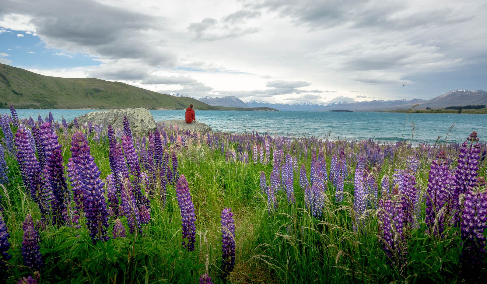 New Zealand: Lake Tekapo and Mount Cook - Find Away Photography