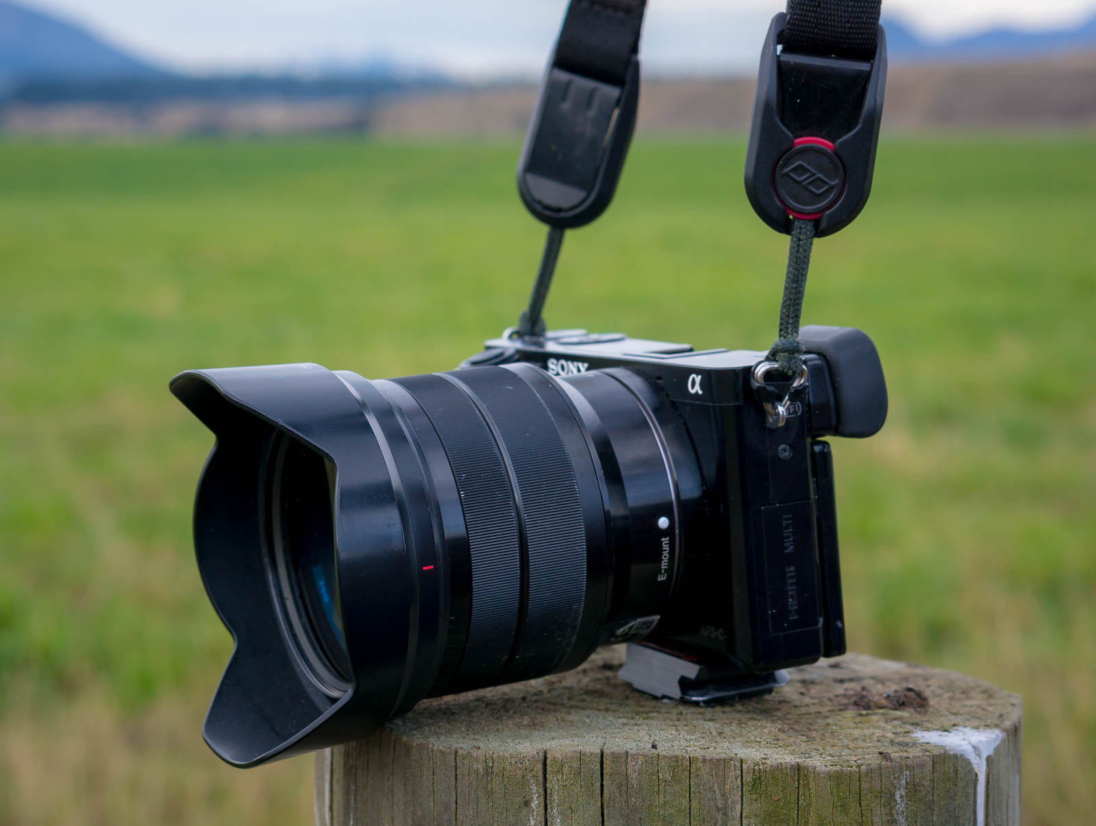 Review: Peak Design Leash Camera Strap - Find Away Photography
